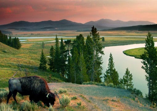 Celebrate National Wilderness Month - Americaware